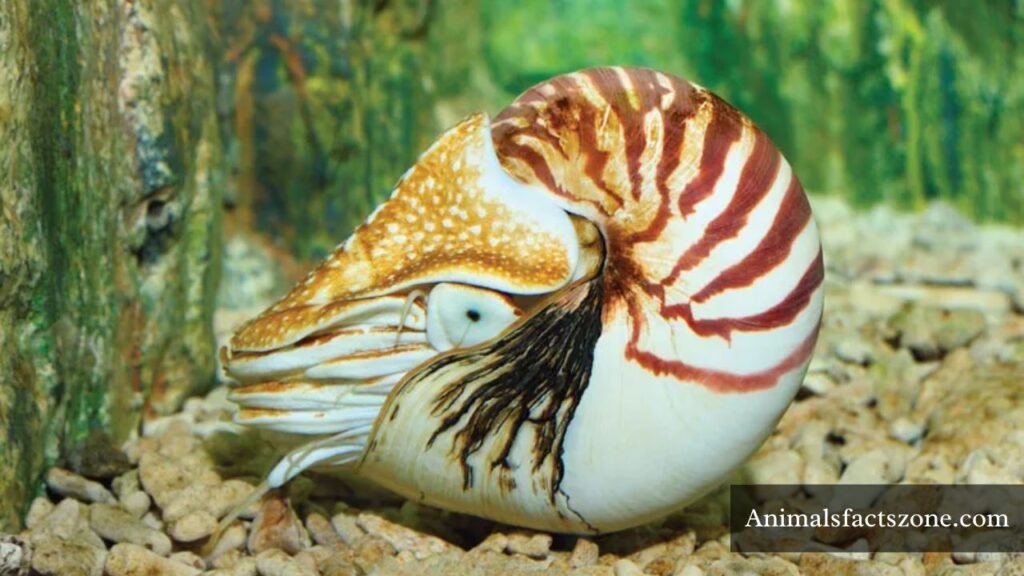 Top 18 Animals That Walk On Two Legs (With Images)
