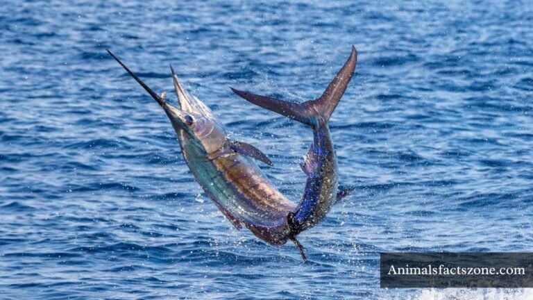 Top 13 Most Agile Animals in the World (With Images)